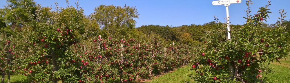 Welcome - Pieter's AppleyardPieter's Appleyard | Apples,Trails and ...